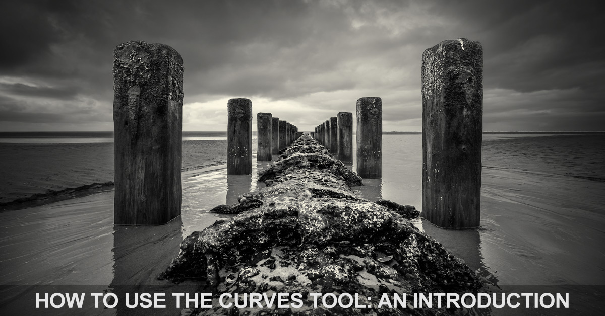 How To Use The Curves Tool: An Introduction • Chromasia