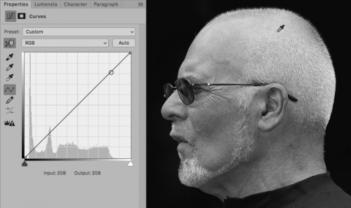How To Use The Curves Tool: An Introduction • Chromasia